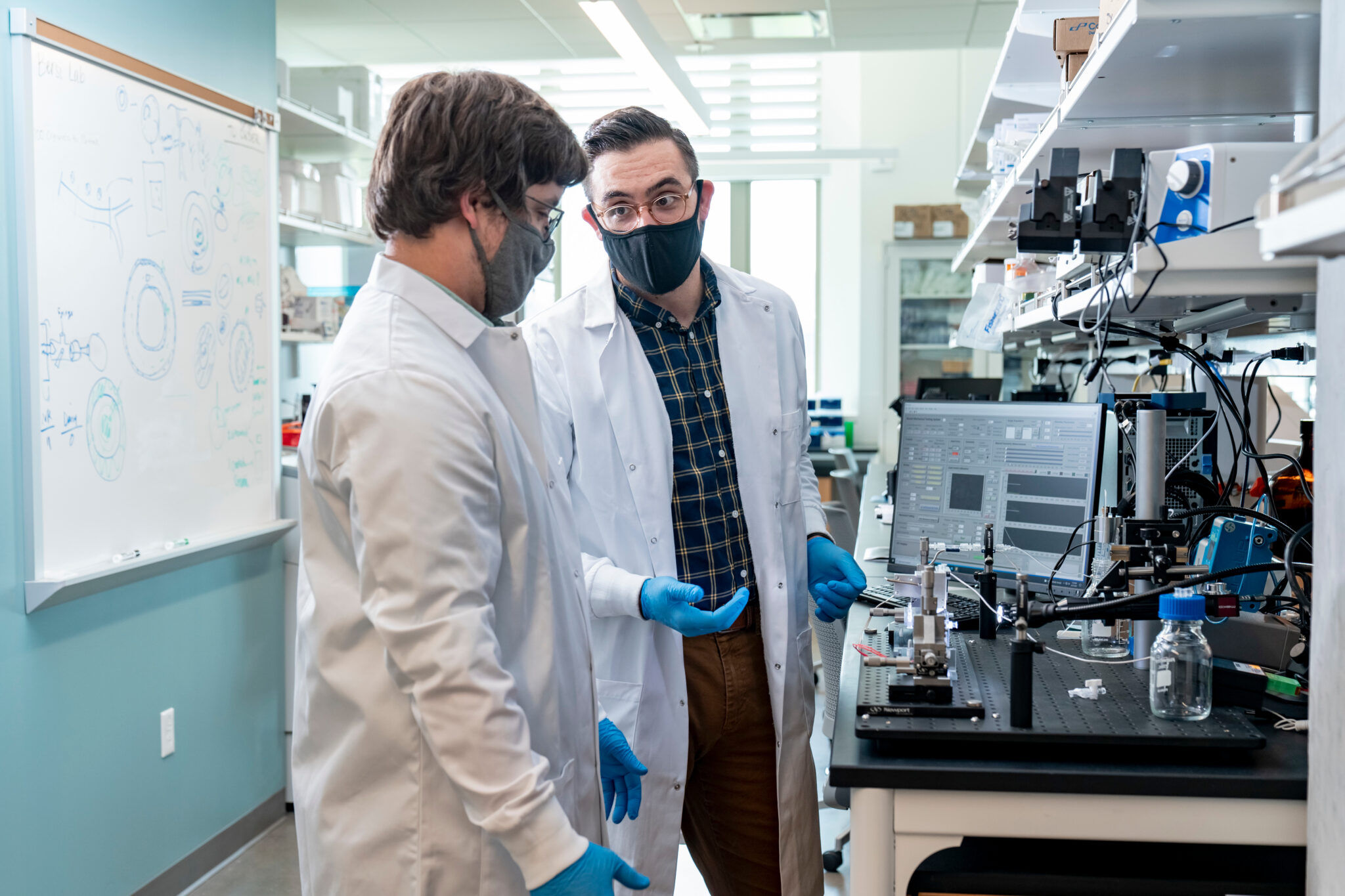 Bersi named 2025 Young Innovator by Biomedical Engineering Society ...