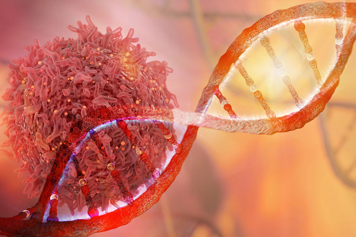 Study sheds light on how inherited cancer mutations drive tumor growth ...