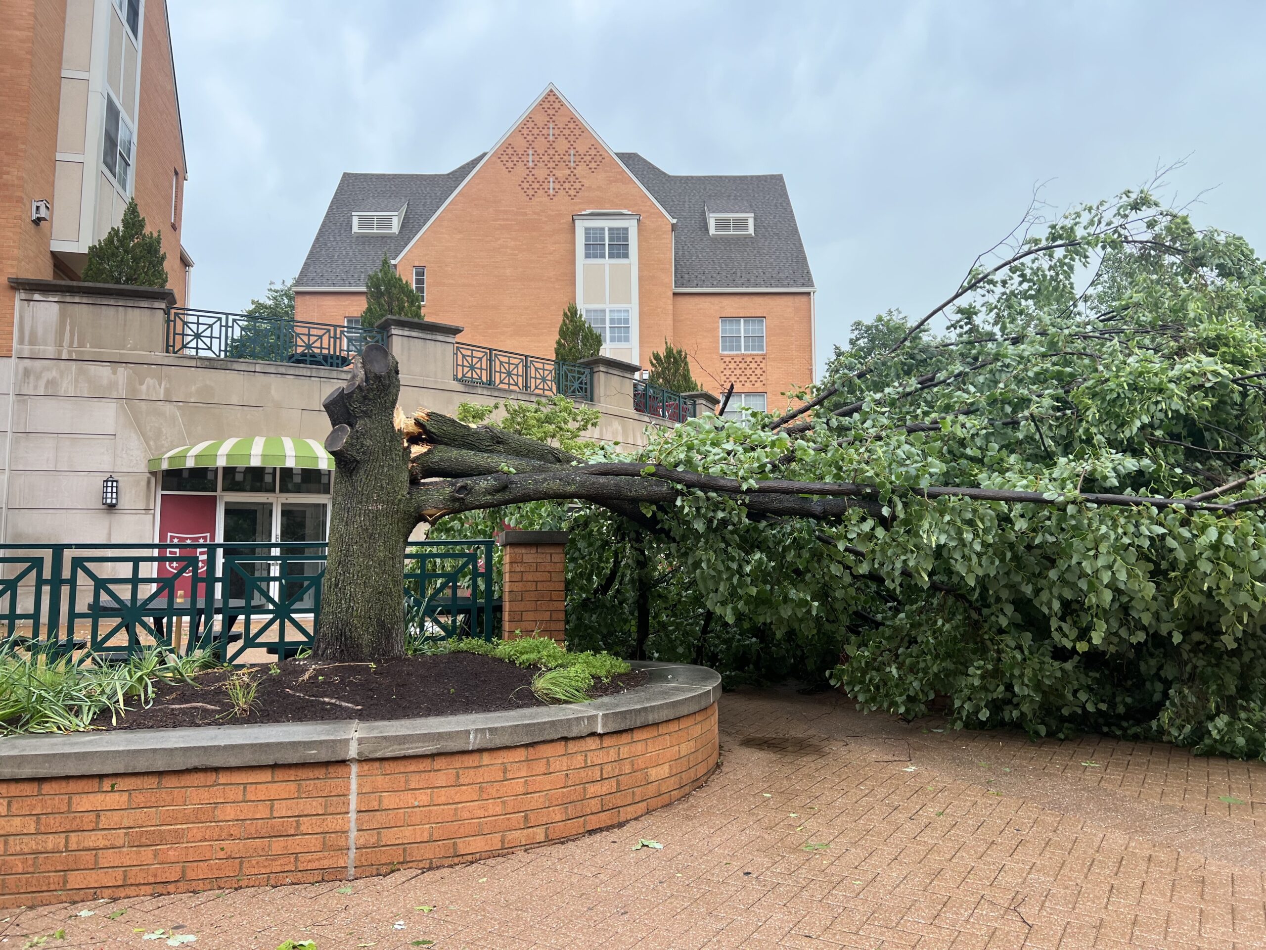 Danforth Campus suffers moderate damage in St. Louis storm - The Source ...