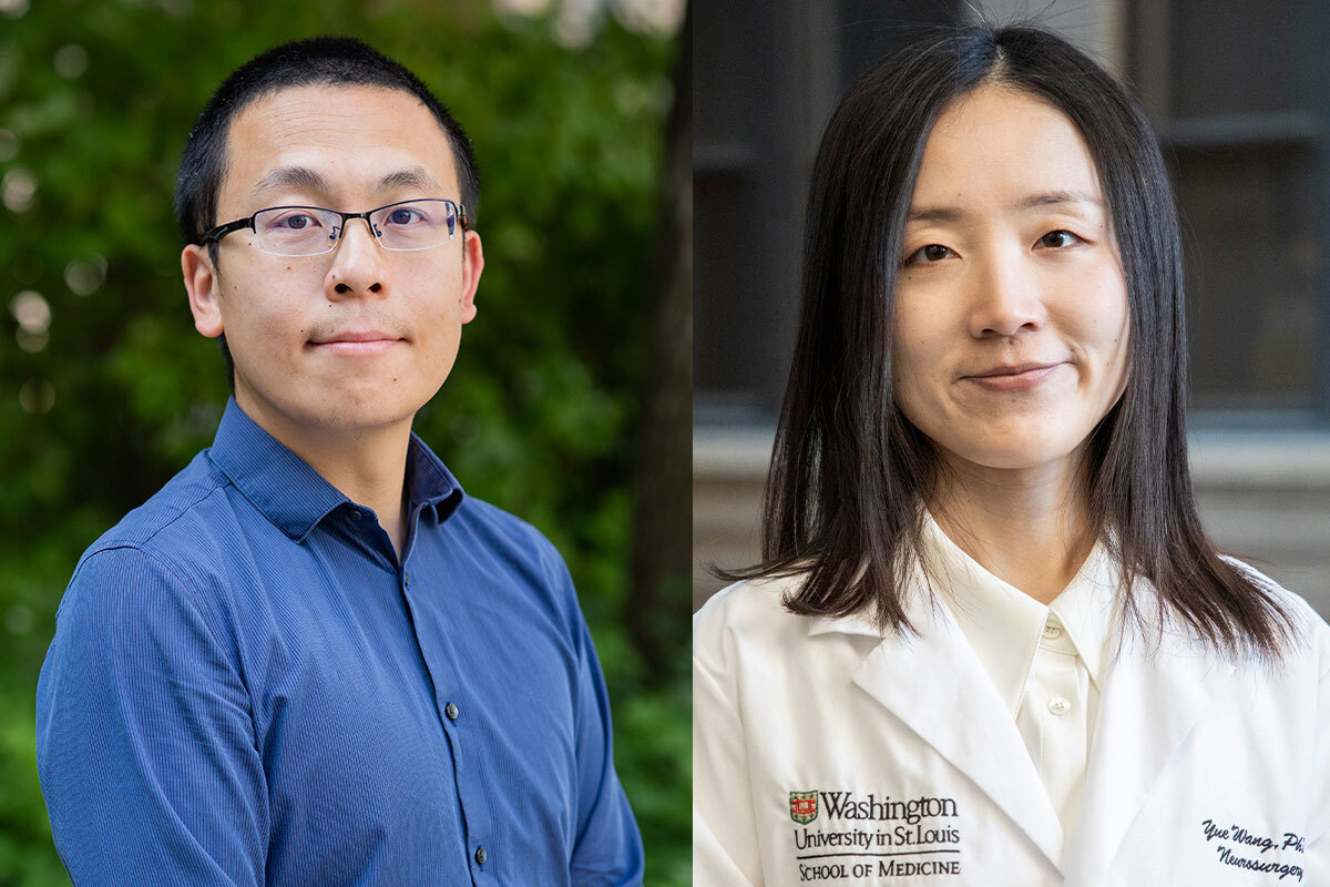 Researchers identify brain cells key to facial recognition - The Source ...