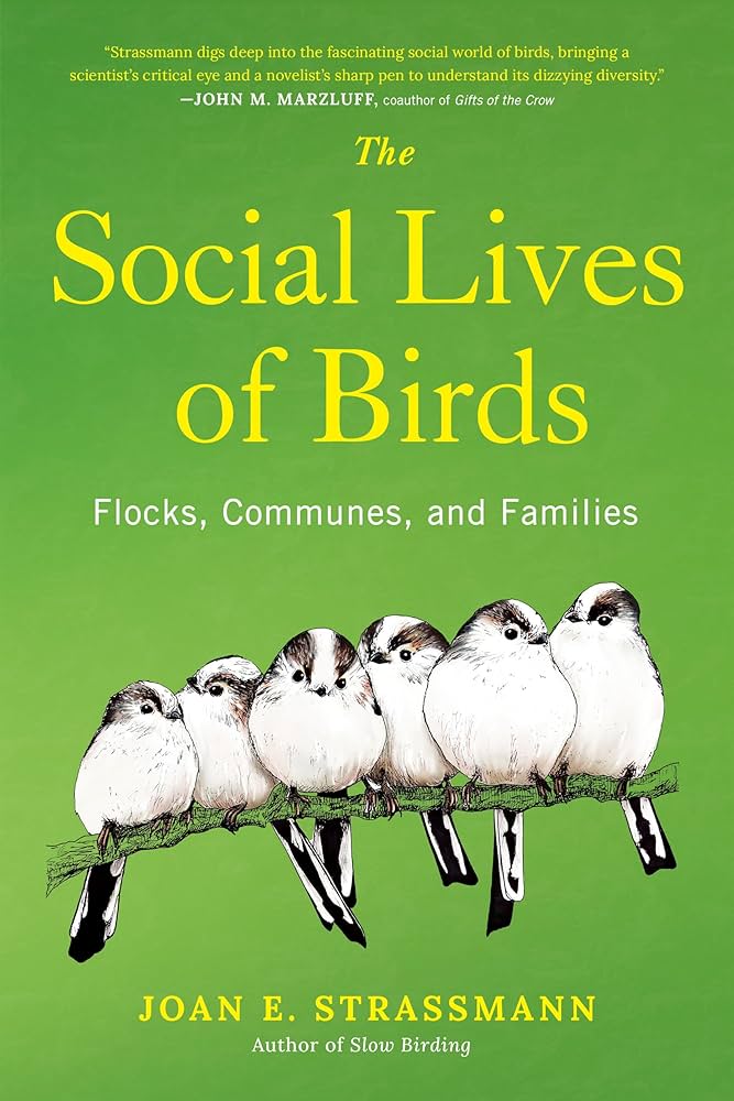 The Social Lives of Birds - The Source - WashU