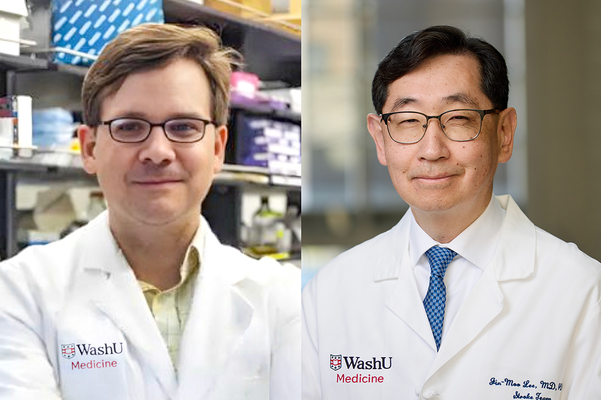 WashU Medicine researchers receive Falk Catalyst Awards - The Source ...