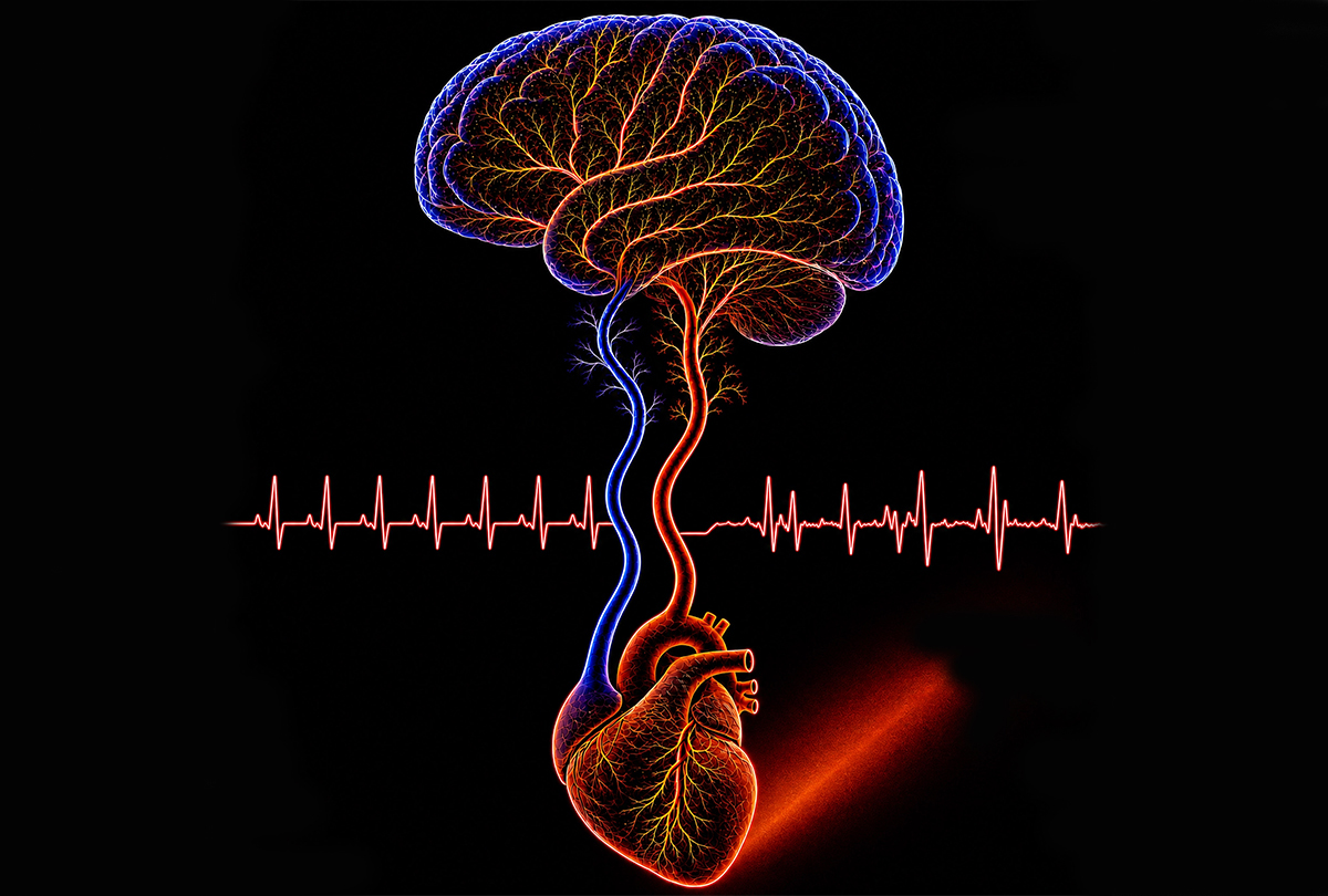 Light, genetics provide insight into arrhythmia’s effects on brain ...